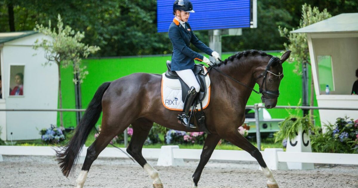 CHIO Rotterdam | Rixt van der Horst winnaar KNHS Para Dressuur Trophy