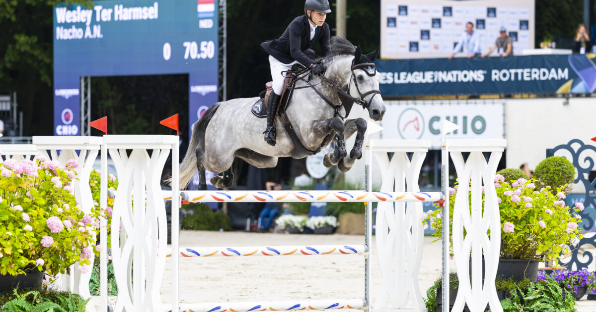 CHIO Rotterdam | 2e overwinning voor Wesley ter Harmsel